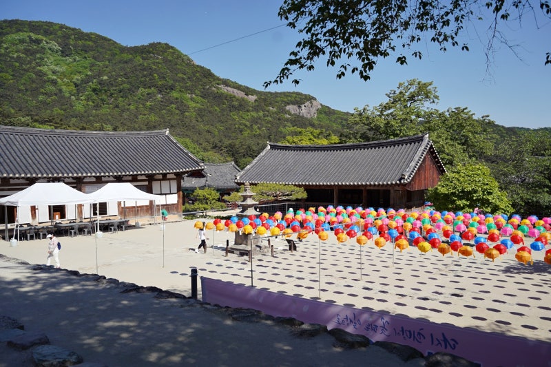 전북 부안 가볼만한곳 내소사 전나무숲길 여행 네이버 블로그