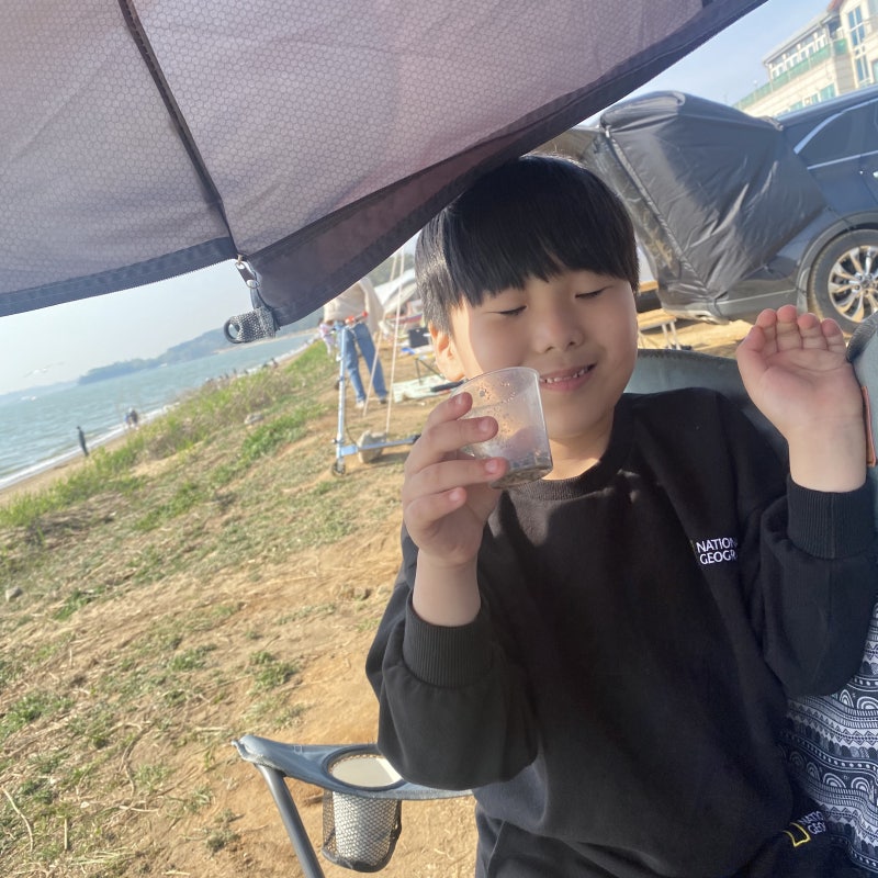 화성 궁평리 해수욕장 경기도 노지캠핑 차박 명소 텐트 취사가능 궁평항 아이랑 가볼만한곳 Ver2 네이버 블로그