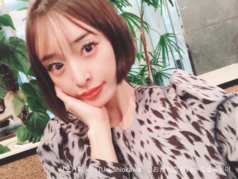 시오카와 우니 / Uni Shiokawa / しおかわ雲丹 / AV