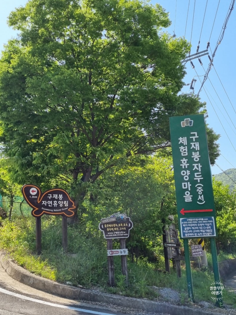 하동 여행 구재봉자연휴양림 찐~하게 즐기기feat 짚라인 모노레일 캐노피 산책 별 보기 네이버 블로그