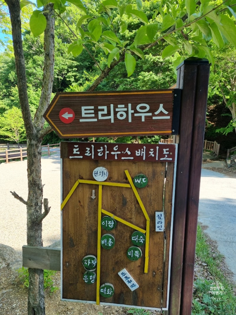 하동 여행 구재봉자연휴양림 찐~하게 즐기기feat 짚라인 모노레일 캐노피 산책 별 보기 네이버 블로그