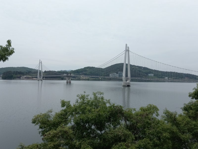 논산 탑정호 출렁다리 주차장꿀팁 뷰포인트 휴무일 네이버 블로그