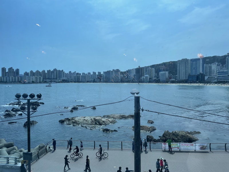 부산 광안리 중식 코스요리 맛집 홍유단 광안점 네이버 블로그