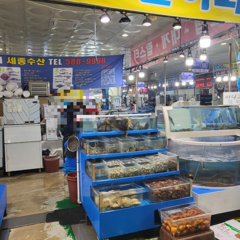 천안시농수산물도매시장 킹크랩 And 대광어회 포장 후기남해수산 킹크랩 시세 네이버 블로그