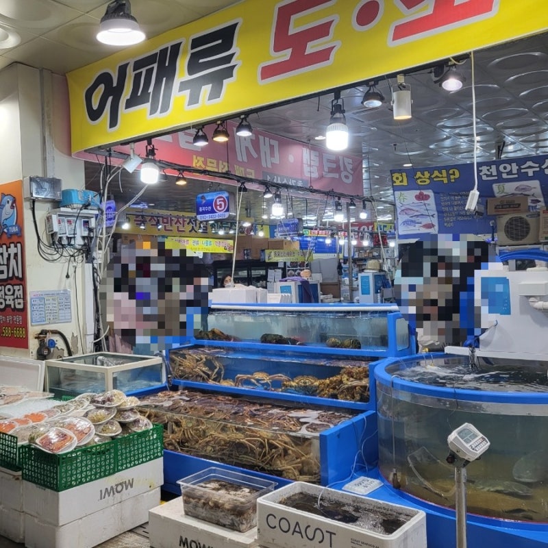천안시농수산물도매시장 킹크랩 And 대광어회 포장 후기남해수산 킹크랩 시세 네이버 블로그