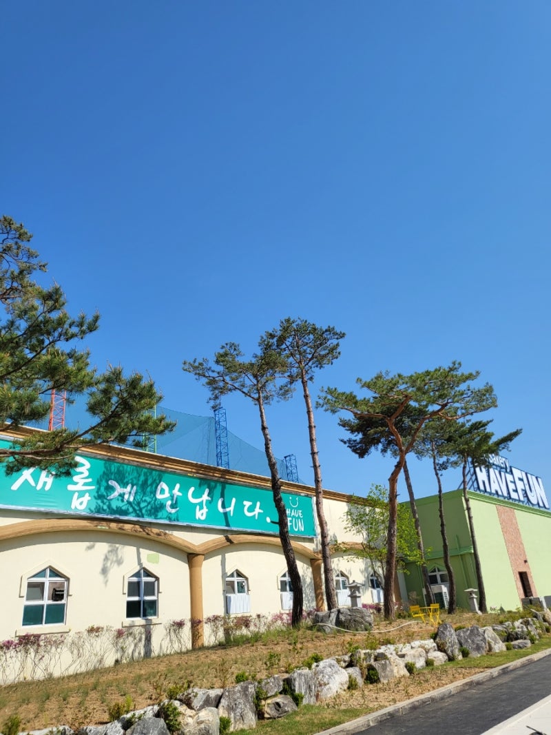 파주 카페 금강산랜드 워터파크의 새로운 변신 해브펀 카페베이커리 대형카페의 정석 네이버 블로그