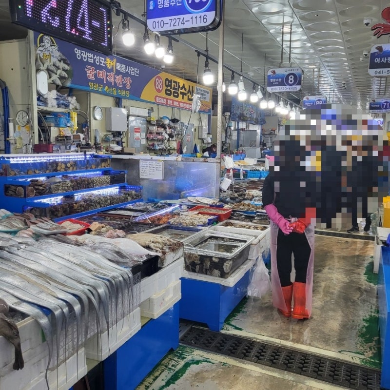 천안시농수산물도매시장 킹크랩 And 대광어회 포장 후기남해수산 킹크랩 시세 네이버 블로그