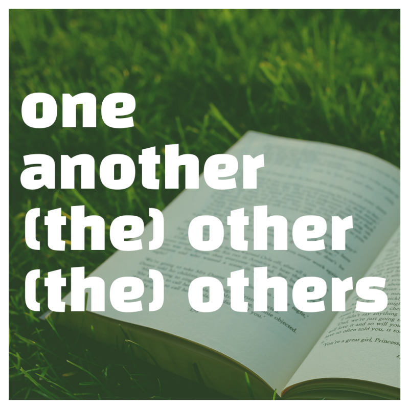 another, (the) other, (the) others 단수/복수 구분과 쓰임 차이 : 네이버 블로그
