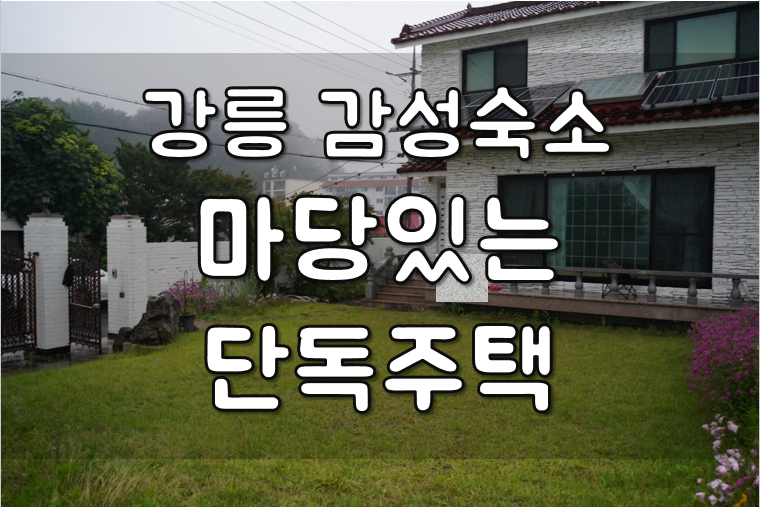 네이버 인플루언서