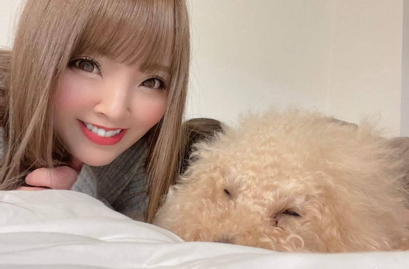 [일본 배우 프로필] 히토미, 타나카 히토미 (Hitomi Tanaka, 田中瞳) : 네이버 블로그