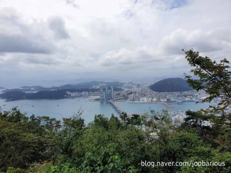 부산 영도 봉래산 등산코스 목장원 및 부산가볼만한곳 추천 네이버 블로그