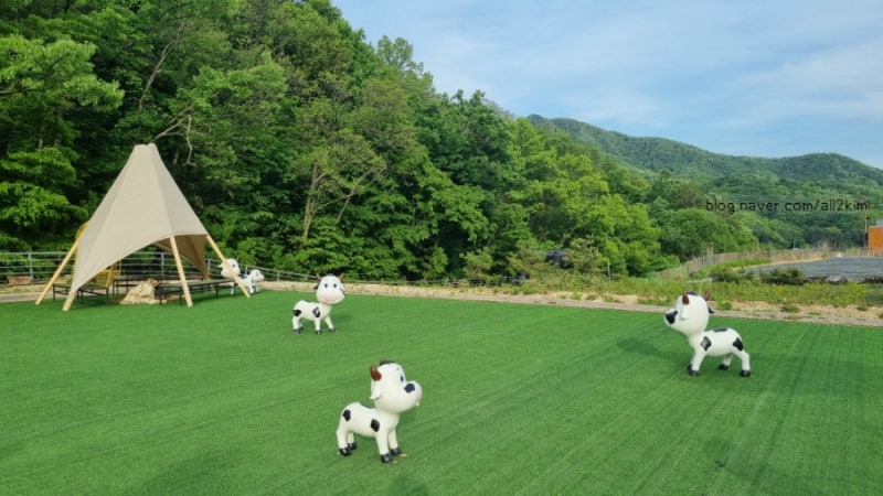 경기남양주 별내 팜스쿨 아이와함께가볼만한 곳 캠핑분위기낼 수 있는 카페 피자만들기체험 네이버 블로그