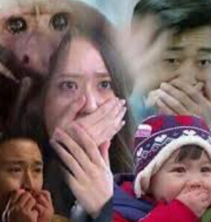 중국드라마 차시천하 원작 소설과 다른 점 및 리뷰 네이버 블로그