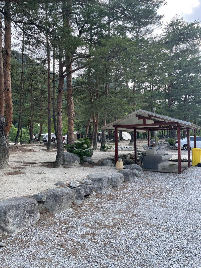 강원도 촌캉스 숙소 추천 강릉 한옥 에어비앤비 소금제 네이버 블로그