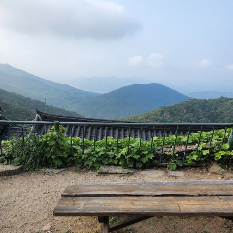 충북 제천 정방사 하늘을 품고있는 작지만 풍경 좋은 절 자드락길 제2코스 네이버 블로그