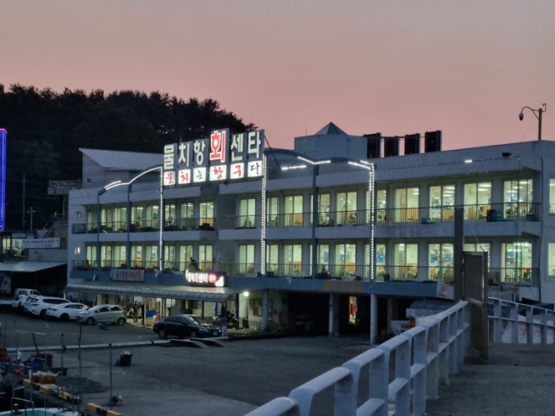 속초 여행 코레일 낙산연수원 물치항 맛집 회 센터 네이버 블로그