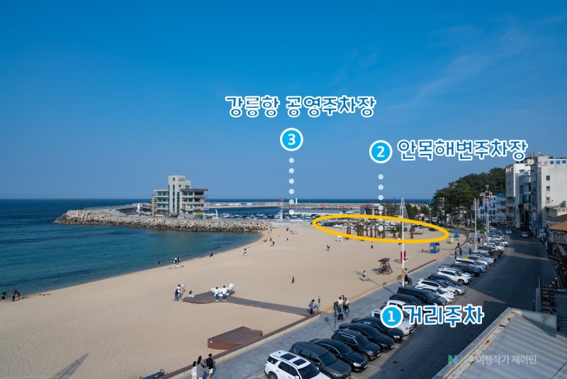 강릉 안목해변 커피거리 야자수와 오션뷰카페 가볼만한곳 네이버 블로그