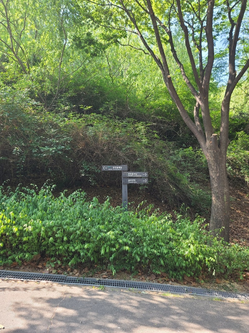 아차산 등산코스 용마산역 아차산역 And 용마산 아차산 등산코스소개 및 길 안내 네이버 블로그