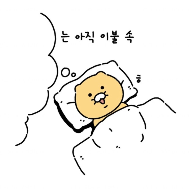 춘식이 짤 저장소 2화 카카오웹툰 춘식이프사 네이버 블로그