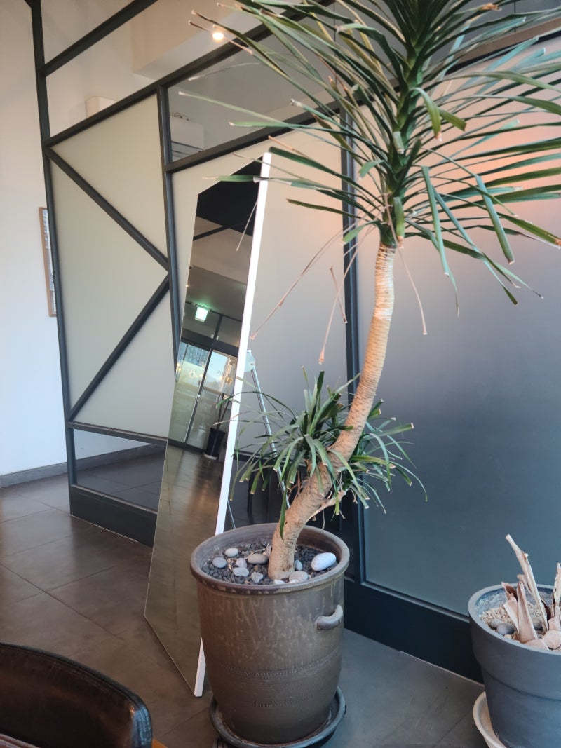 순천 신대 분위기 좋은 레스토랑 로이스푼(ROY SPOON) 찹스테이크, 스파게티 맛집 : 네이버 블로그