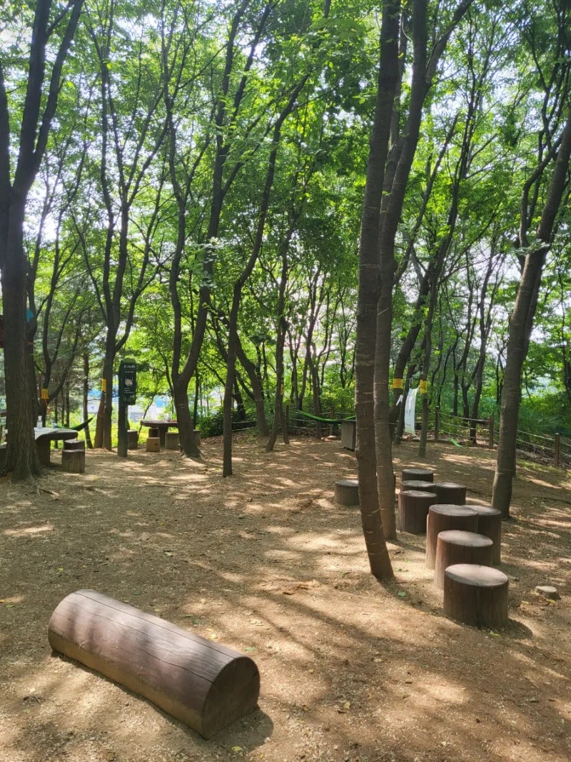 경기 화성 아기랑 가볼만한 곳 봉담유아숲놀이터 봉담유아숲체험장 네이버 블로그