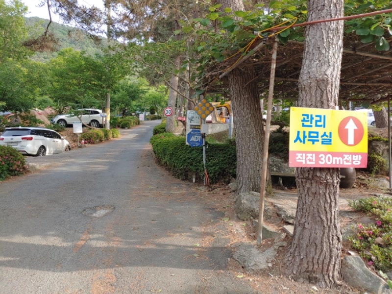 친구들이랑 다녀온 창원휴양림오토캠핑장 후기c11 C24 네이버 블로그