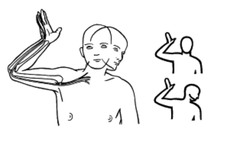 ULTT test Upper Limb Tension Test , Elvey's test : 엘베이 검사 - 상지 신경 긴장 유발 ...