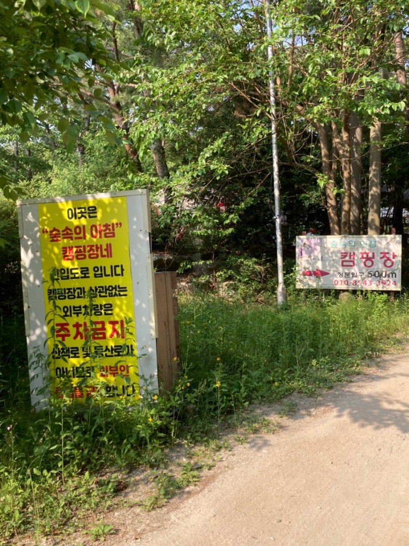 용인 숲속의아침 캠핑장 배밭 캠핑서울근교반려견동반 가족 캠핑 네이버 블로그
