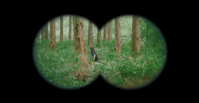 #003 발견한 음악들 (Bright Eyes - Solid Jackson, 백예린 - Pisces, 선미 - Fellowship) : 네이버 블로그