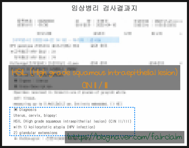 상세불명의 자궁경부의 이형성n879 Cin Ii Iii 제자리암 진단비 수술비 지급 받은 사례 네이버 블로그