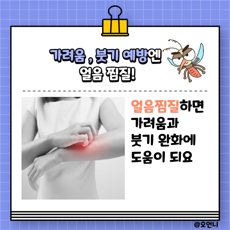 우리 아이 모기 물렸을 때 가렵고 붓고 곪을 때 대처방법 오언니의 깔끔정리 네이버 블로그