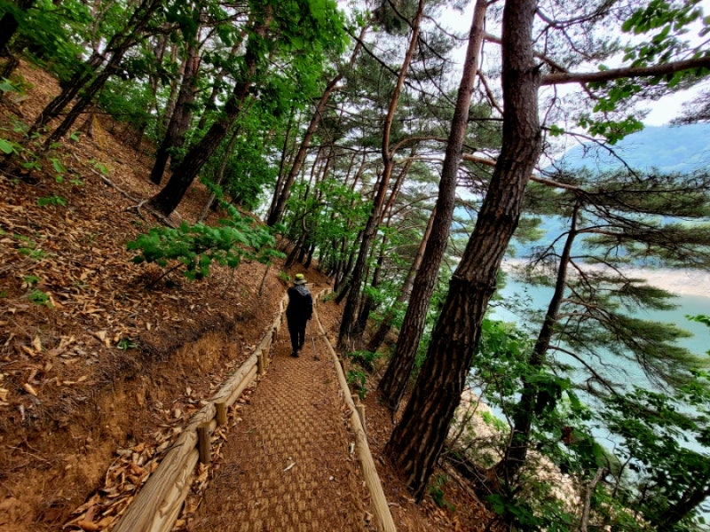 양구 소양강 봉화산 수변숲길 둘레길 원점회귀 코스 걷기57km 2시간30분 소요 네이버 블로그