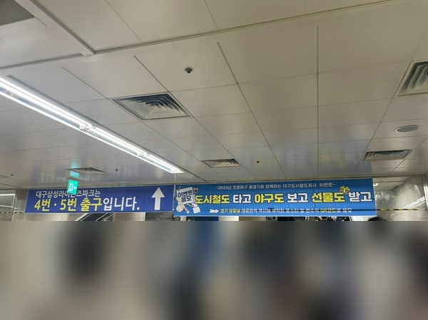 삼성라이온즈 야구 직관 후기 땅땅치킨 루프탑 2열 삼성라이온즈파크 둘러보기 네이버 블로그