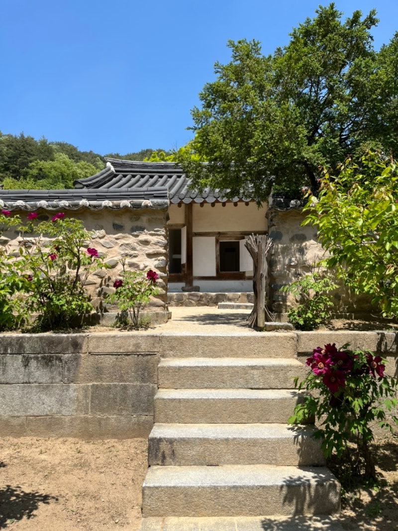 꽉꽉 채운 당일치기의 모든 것 데이트코스 맛집 카페 추천 낙강물길공원 도산서원 부용대 하회마을 신선식당 맘모스