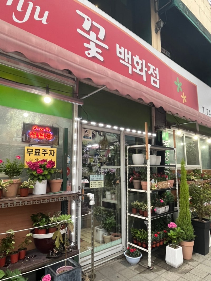 원주 꽃이 싼집 저렴한 꽃집 꽃다발 예쁜집 꽃백화점 네이버 블로그