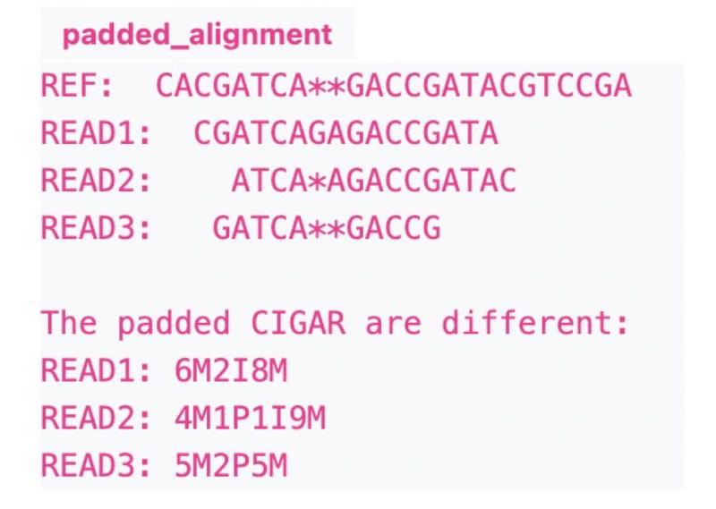 [Bioinformatics] SAM/ BAM format : 네이버 블로그
