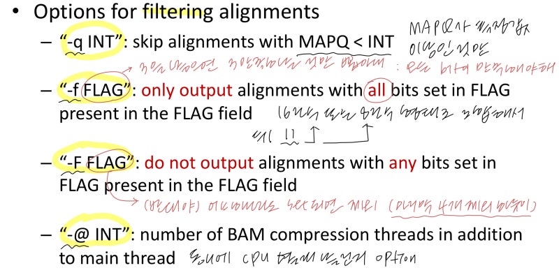 [Bioinformatics] SAM/ BAM format : 네이버 블로그