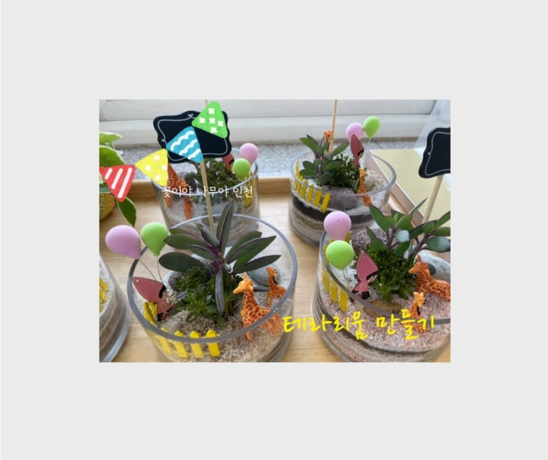 서울시 영등포구 초등학생 테라리움 꾸며보기 다육식물 심어보아요 특수학급 친구와 특별한 원예체험시간 원예테라피 테라리움키트