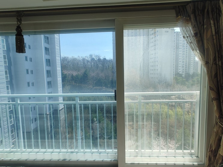 김포 사무실썬팅 아파트썬팅 단연필름 썬팅 시공 주택 유리창문 열차단썬팅 자외선차단 썬팅 윈도틴팅 유리창문 필름 코팅