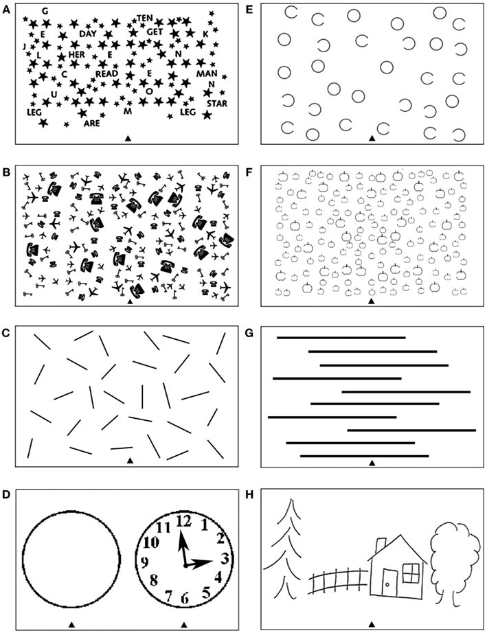 편측 무시(Neglect)란? 편측 무시에서 나타나는 증상, 평가 및 치료방법에 대한 모든 것! : 네이버 블로그
