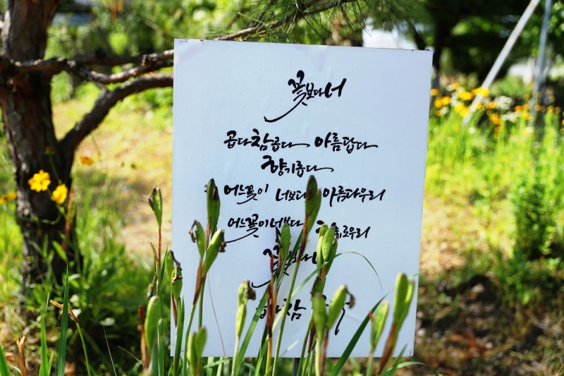남양주 힐링 명소 걷기 운길산역~물의정원~대너리스 카페 네이버 블로그