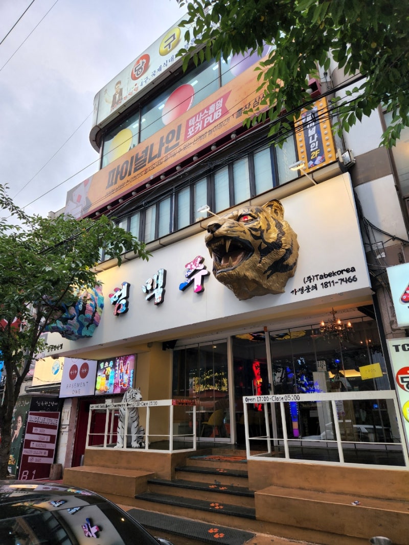 울산 삼산 술집 달동 핫플레이스 이색술집 범맥주 울산삼산점 네이버 블로그