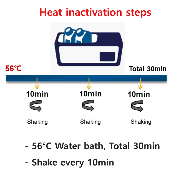[동물세포배양] Fetal Bovine Serum (FBS) : 네이버 블로그