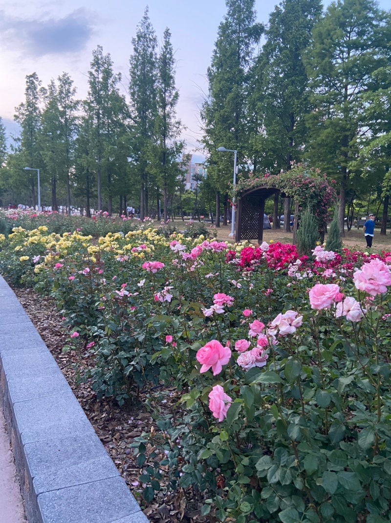 인천 가볼만한곳 캠크닉 송도해돋이공원 힐링하세요 네이버 블로그
