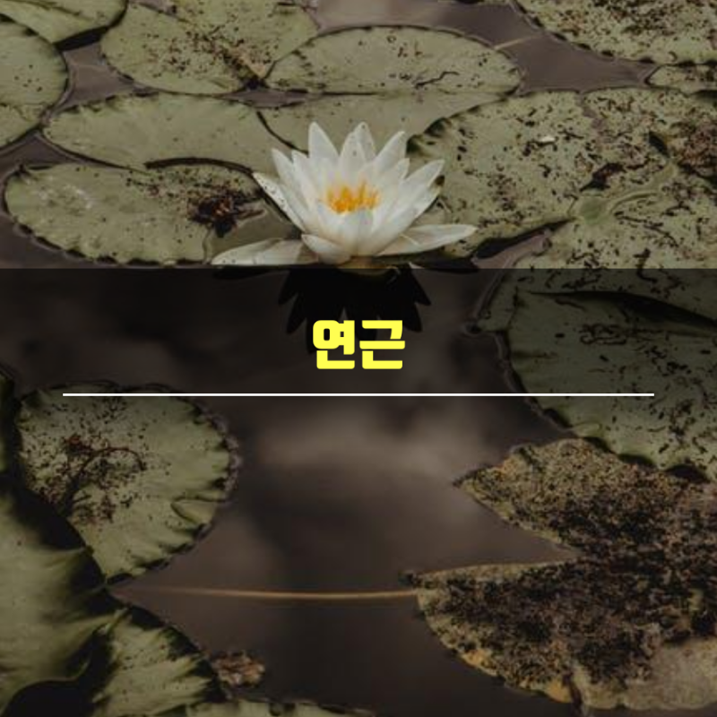 위에 좋은 음식 위염 위암이 사라지는 음식 베스트 네이버 블로그