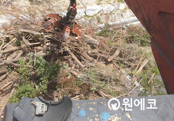 울산 언양 임목폐기물처리 화단 전지목 작업 현장 방문 네이버 블로그