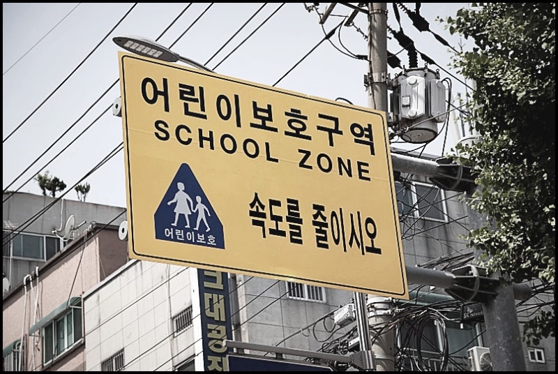 어린이보호구역 속도위반 신호위반 벌점 과태료 확인 네이버 블로그