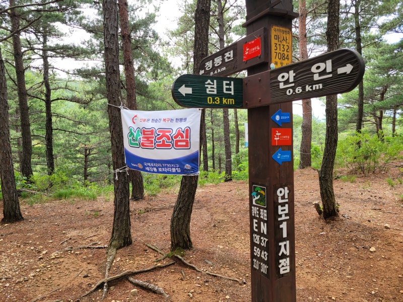 강릉 괘방산 등산코스 괘방산 등산지도강릉 초보등산코스활공장 코스안인삼거리주차장 네이버 블로그