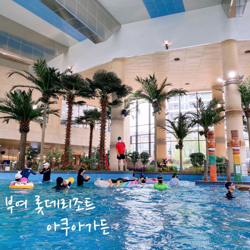 부여 롯데리조트 아쿠아가든 워터파크 수영장가격 및 준비물 네이버 블로그
