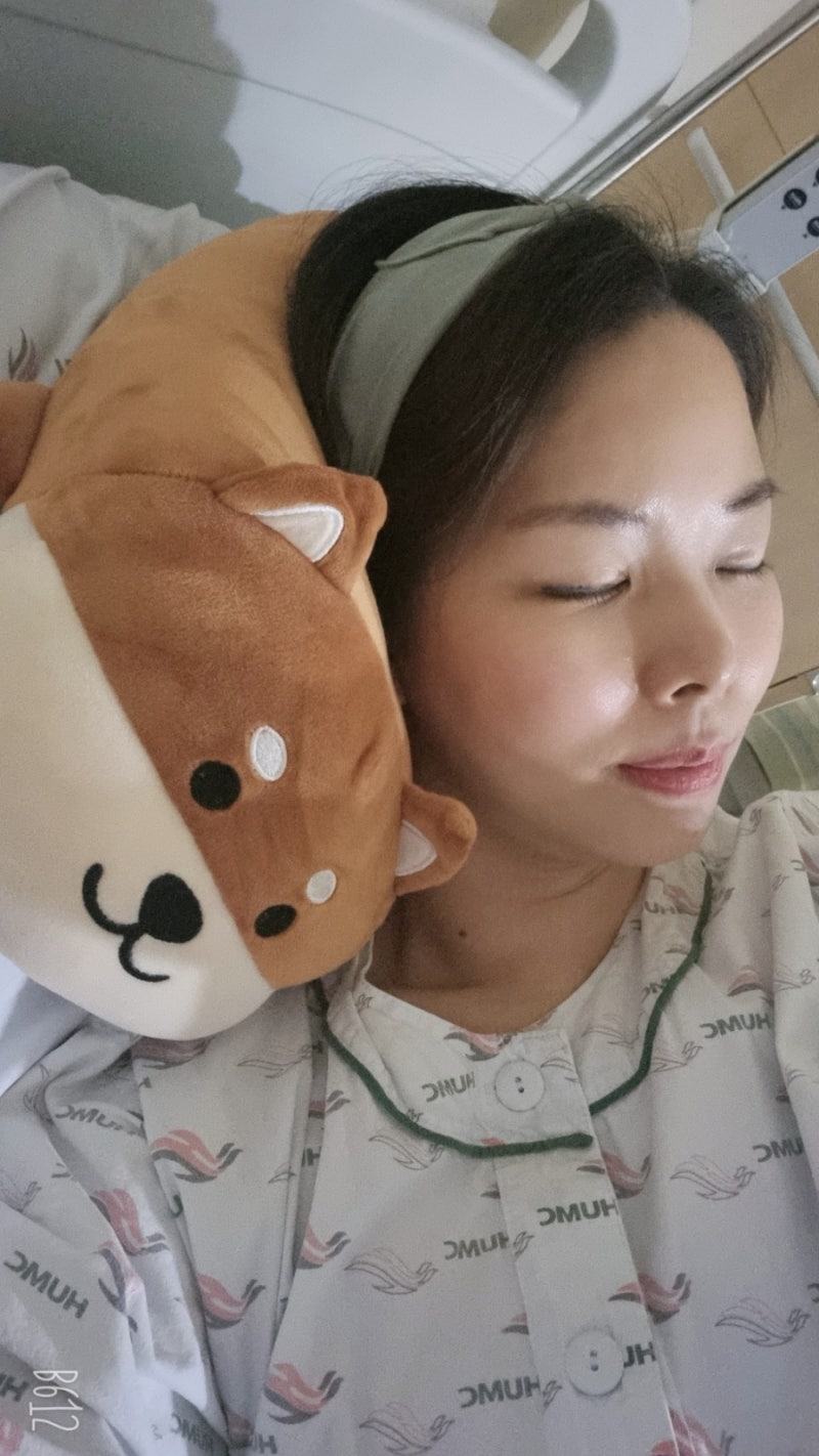 신장 조직검사 입원후기평촌 한림대학교성심병원 생리중 병원비용 네이버 블로그